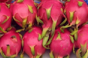 Pitaia - nutrição t4h | Alimentos, Alimentação, Saúde e Tecnologias