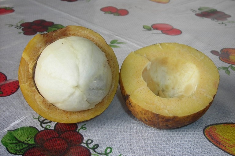 Bacuri é uma das frutas mais populares da região Amazônica, sendo pouco ...