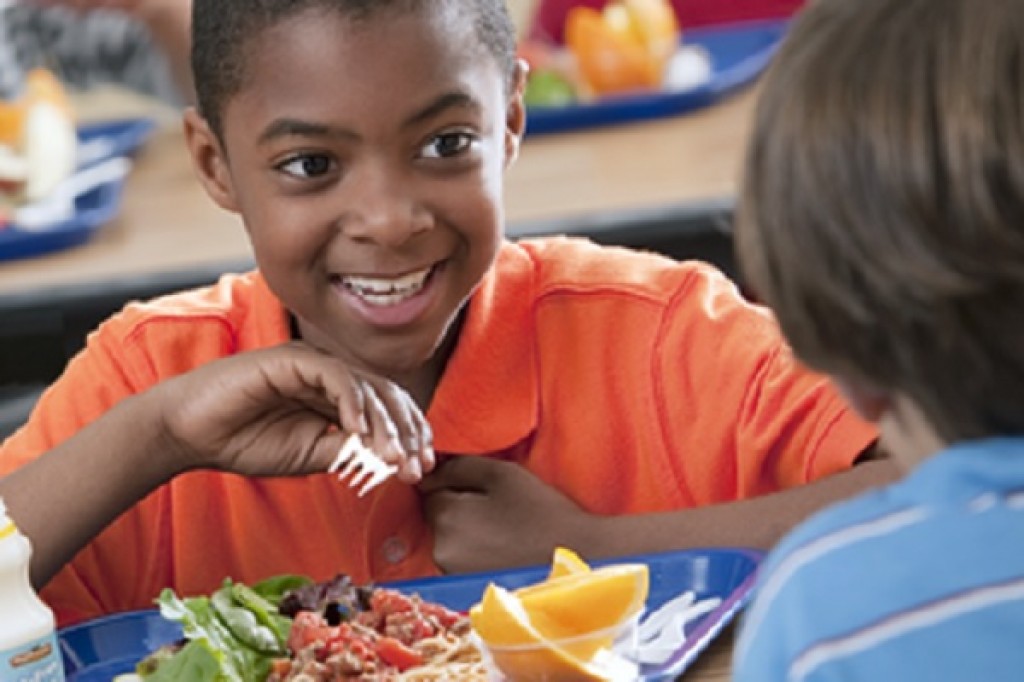 Departamento de Agricultura dos Estados Unidos emite padrões de ...