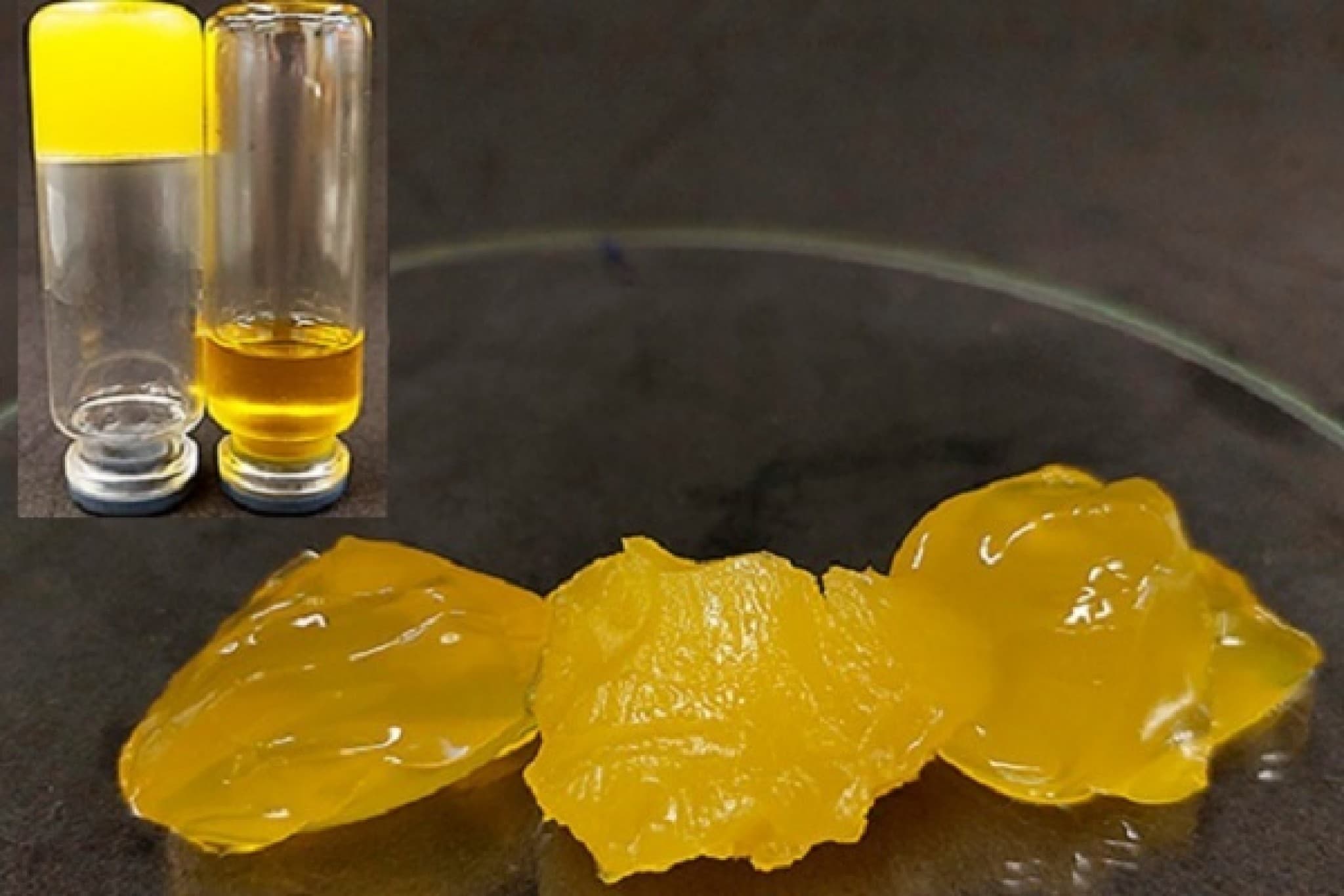 Oleogel baseado em linhaça, frutas vermelhas e girassol pode substituir ...